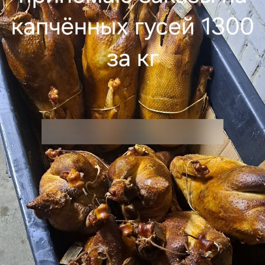 Капчёные гуси