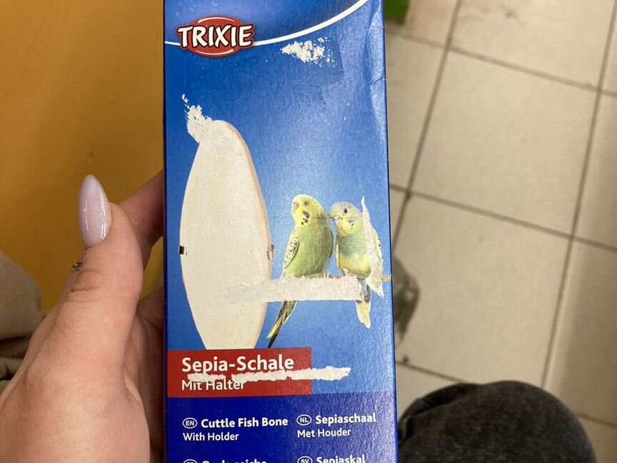 Панцирь каракатицы для поругаев и улиток