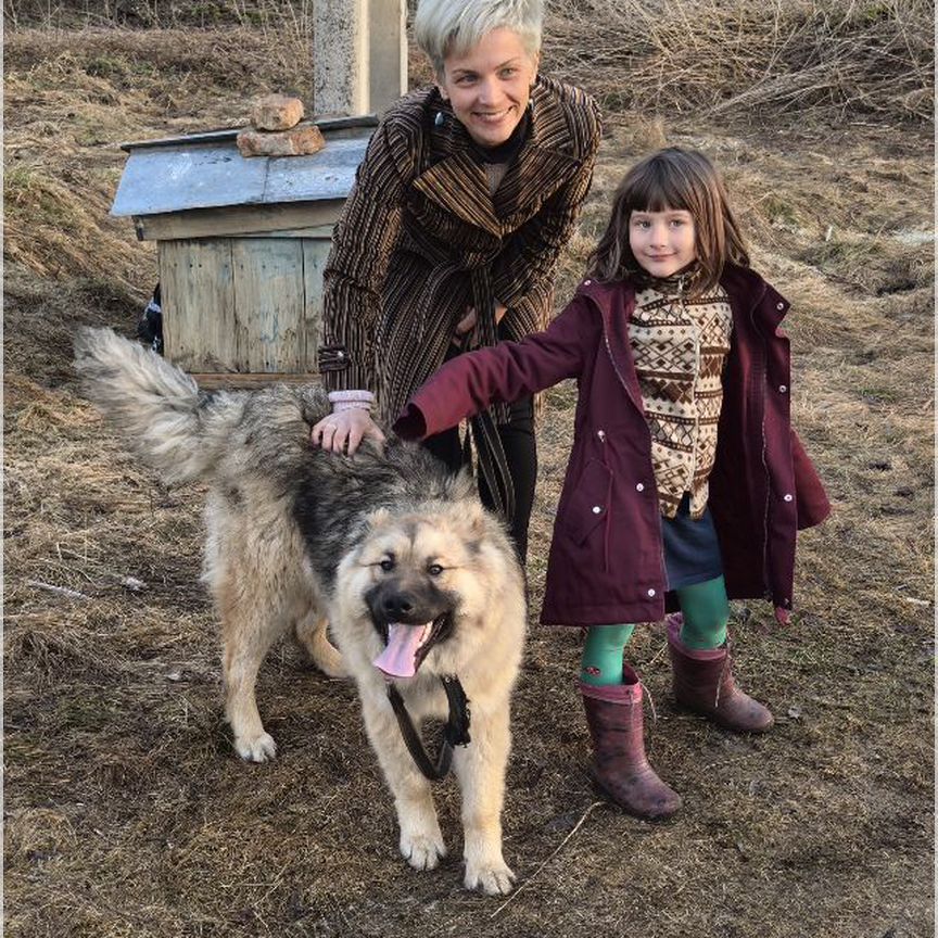 Щенок в добрые руки