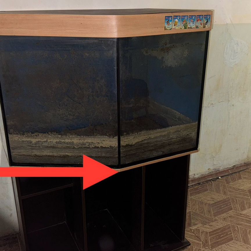 Аквариум