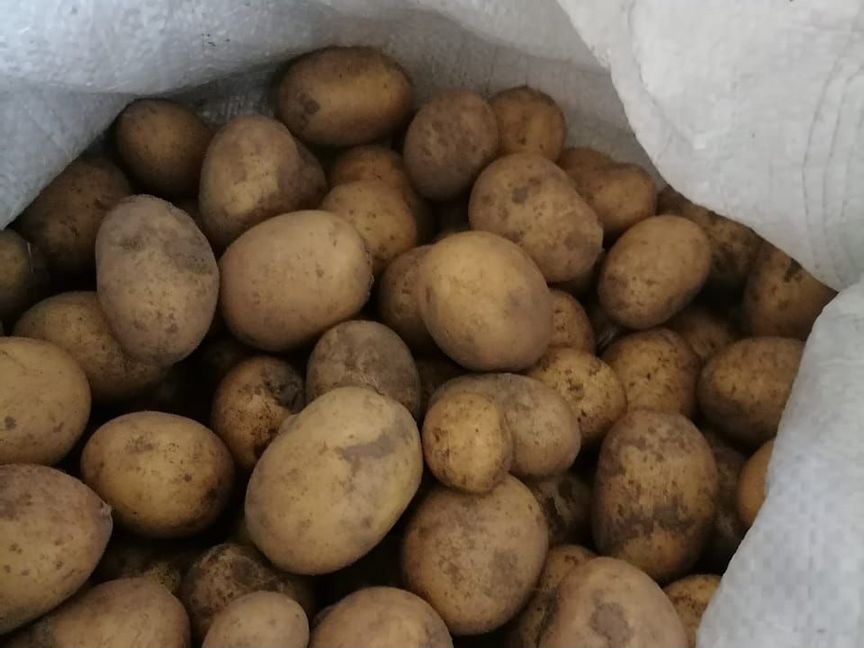 Продам картофель мелочь