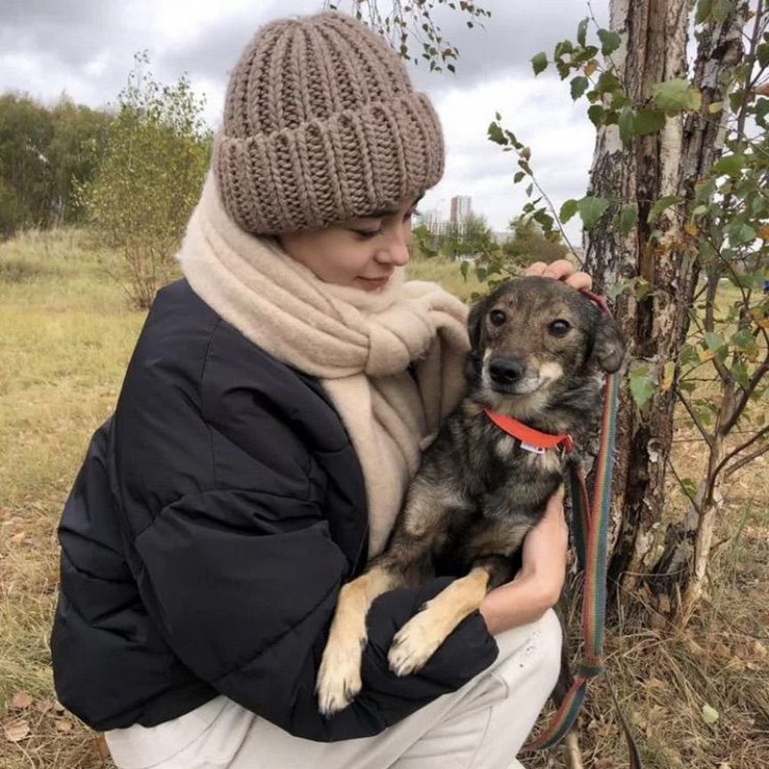 Ласковая малышка Фиби ищет дом