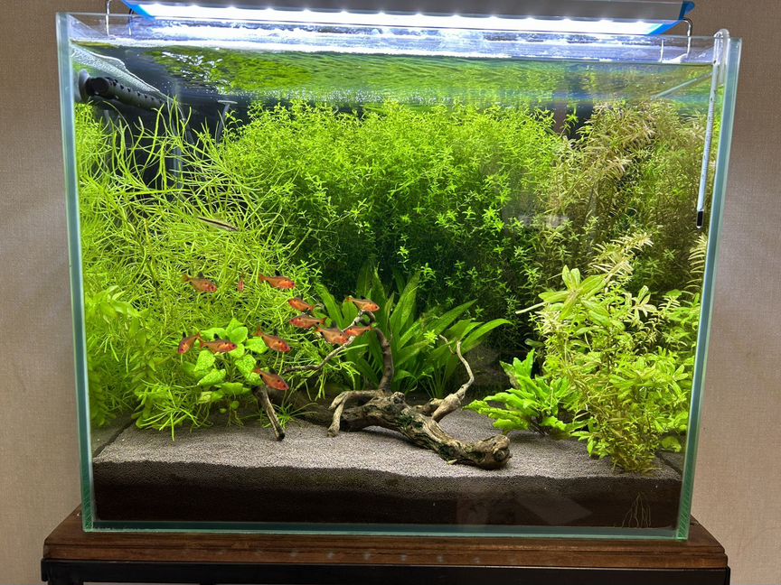 Аквариум 70л 50*35*40