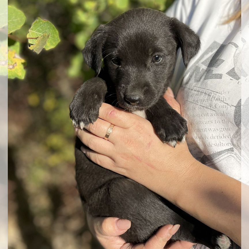 Малышку нашли на улице, нужен дом