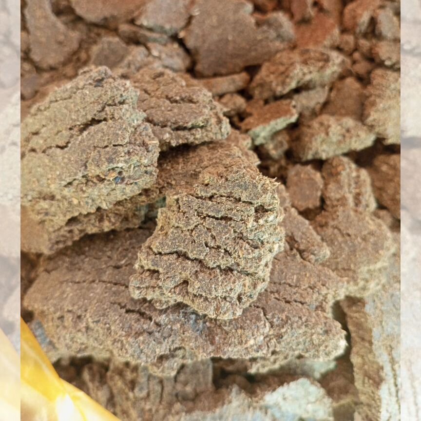 Жмых подсолнечный оптом