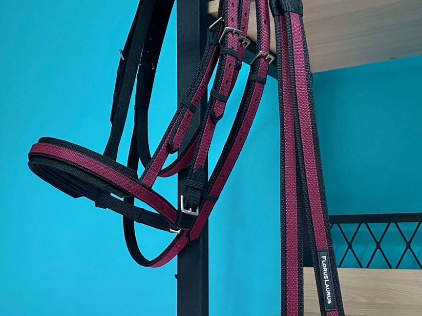 Уздечка для лошади