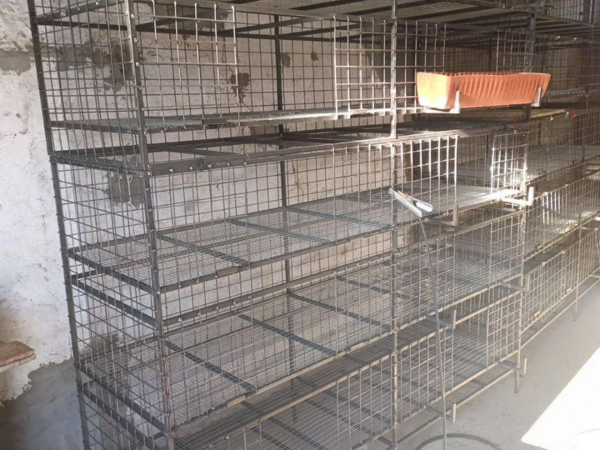Клетки для кур