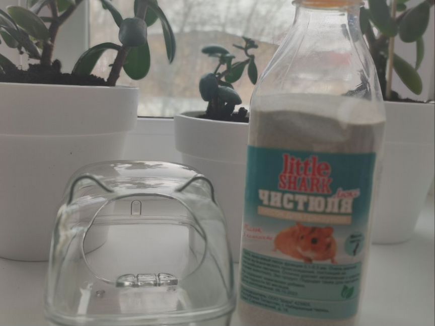 Ванна купалка для грызунов