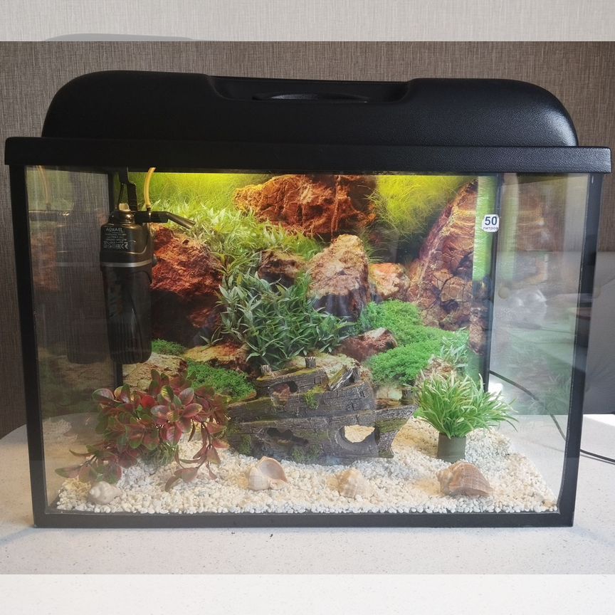 Аквариум на 50 литров