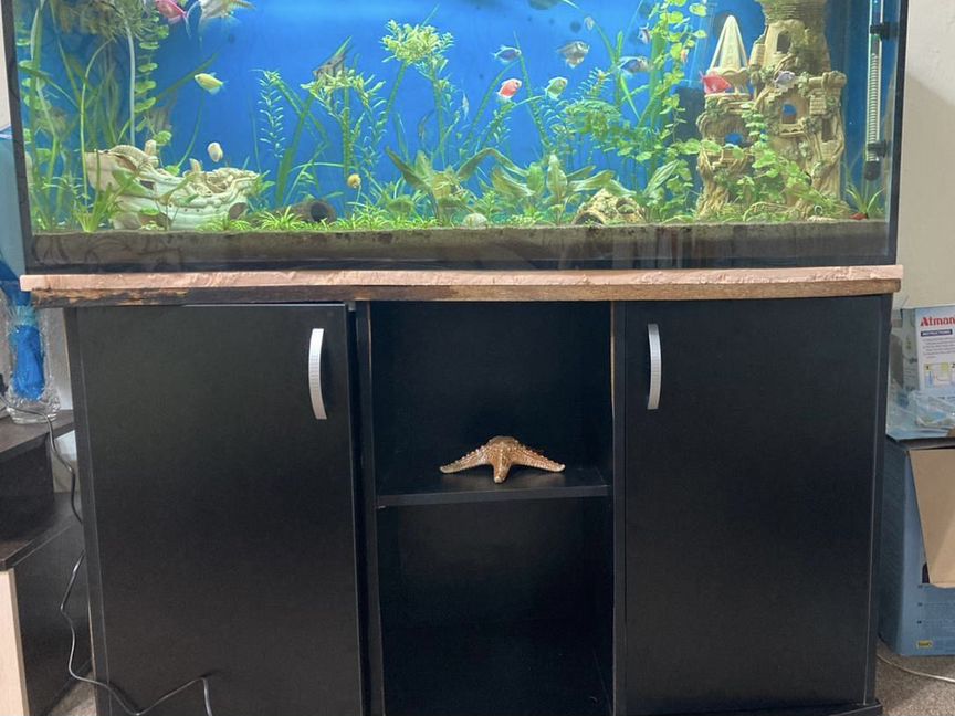 Аквариум с тумбой 240