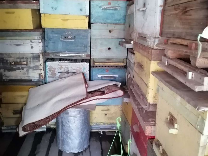Улья. Цена за всё что на фото