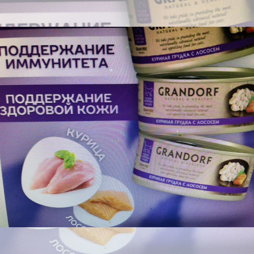 Влажный корм для кошек