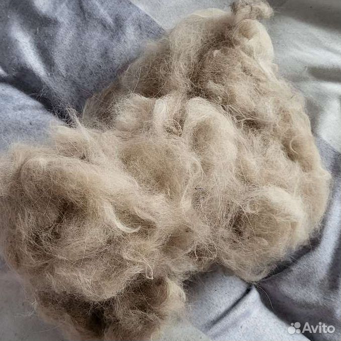 Кошачья шерсть