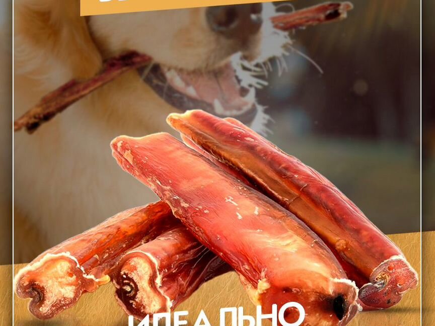 Лакомства для собак Бычий Корень