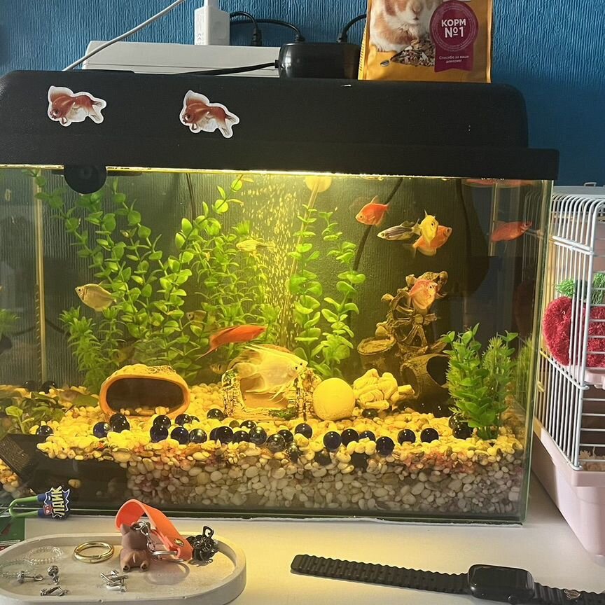 Аквариум с крышкой 35 литров