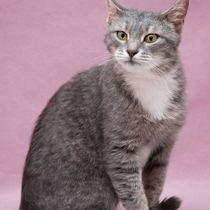 Жизнь, полная лишений и одиночества