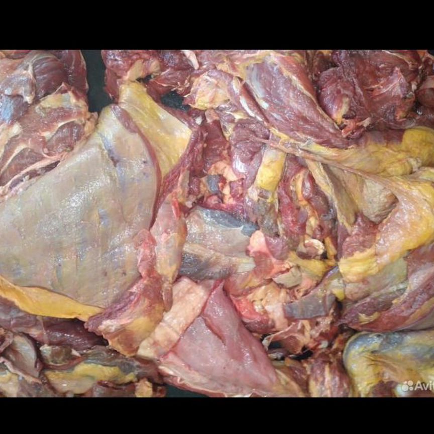 Корм для собак и кошек по 50р из субпродуктов