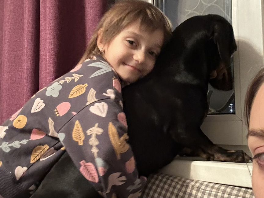 Собака в добрые руки