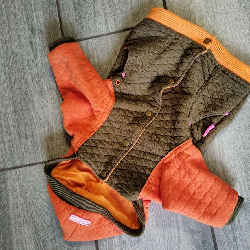 Одежда для собак мелких пород бу