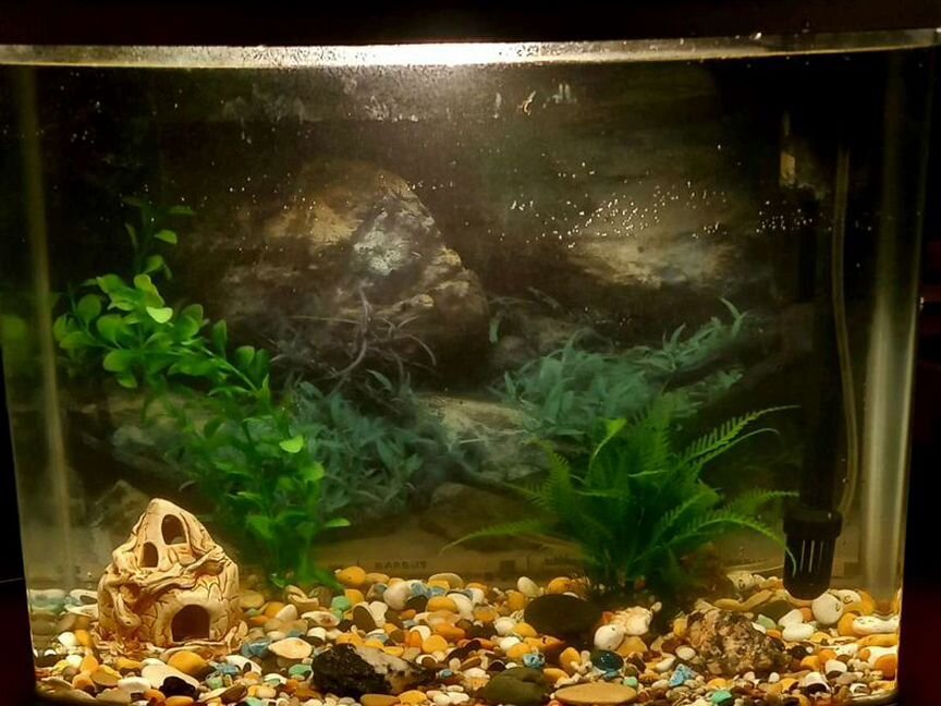 Аквариум 50л