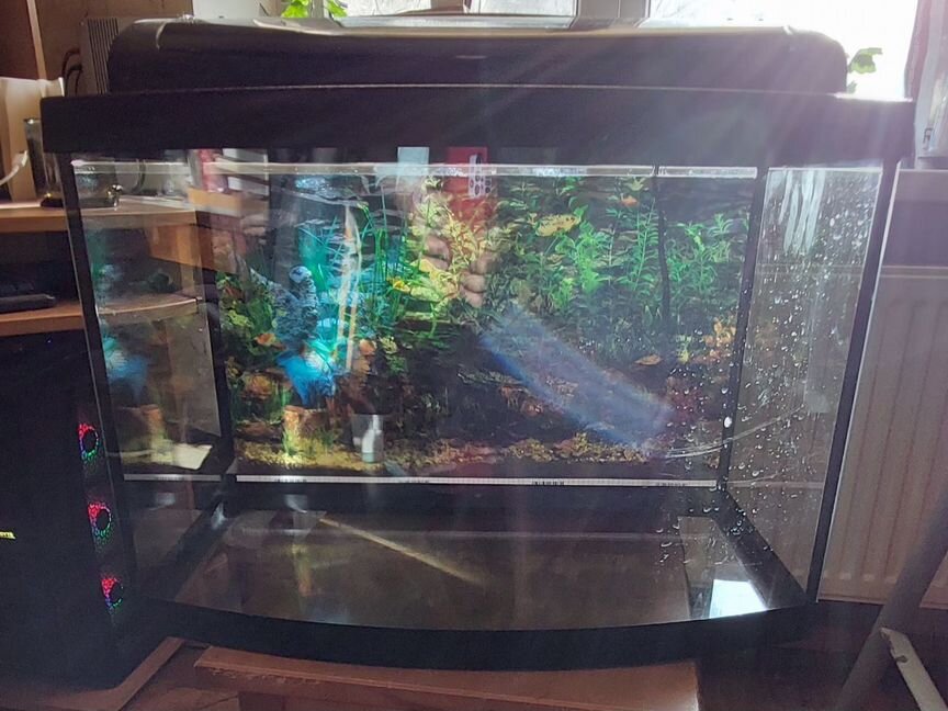 Аквариум с крышкой