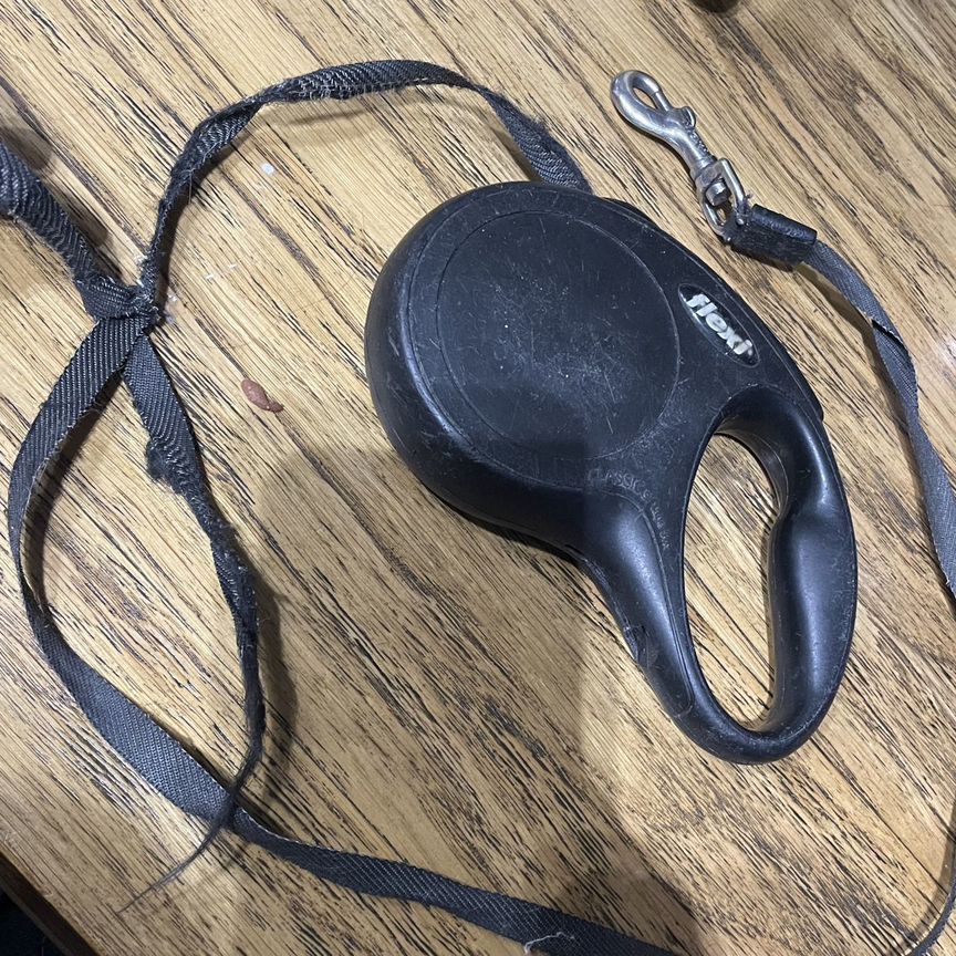 Поводок рулетка порвалась