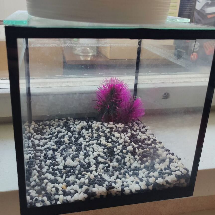 Аквариум 8 литров