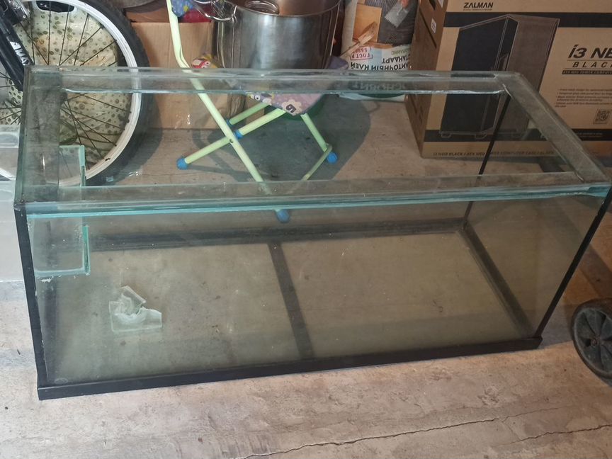 Аквариум морской