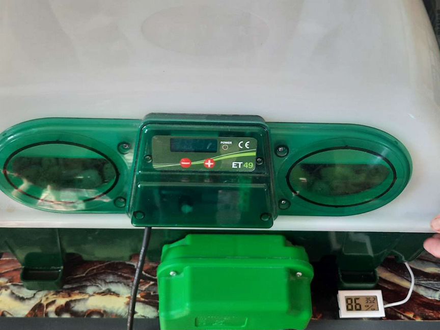 Инкубатор River Covina Super 49ET