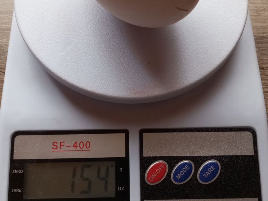 Яйцо гусиное