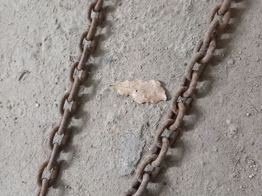 Цепь СССР для собаки