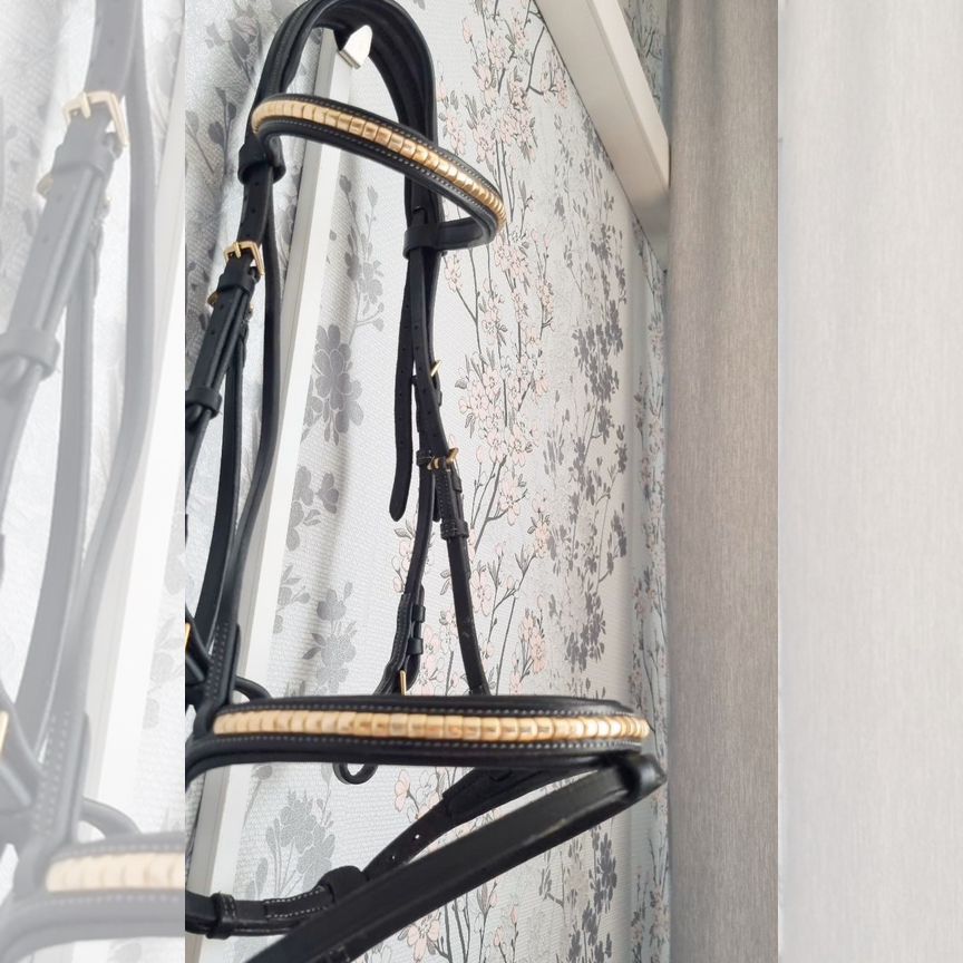 Оголовье для лошади