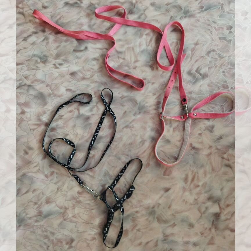 Шлейка поводок для кошки