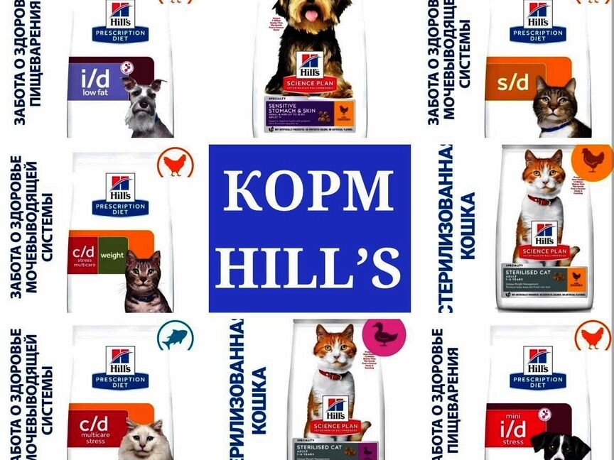 Корм hills/ Хиллс