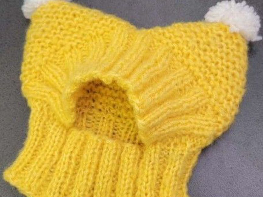 Шапки для мелких пород собак