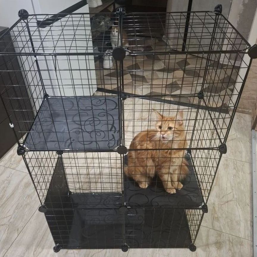 Клетка