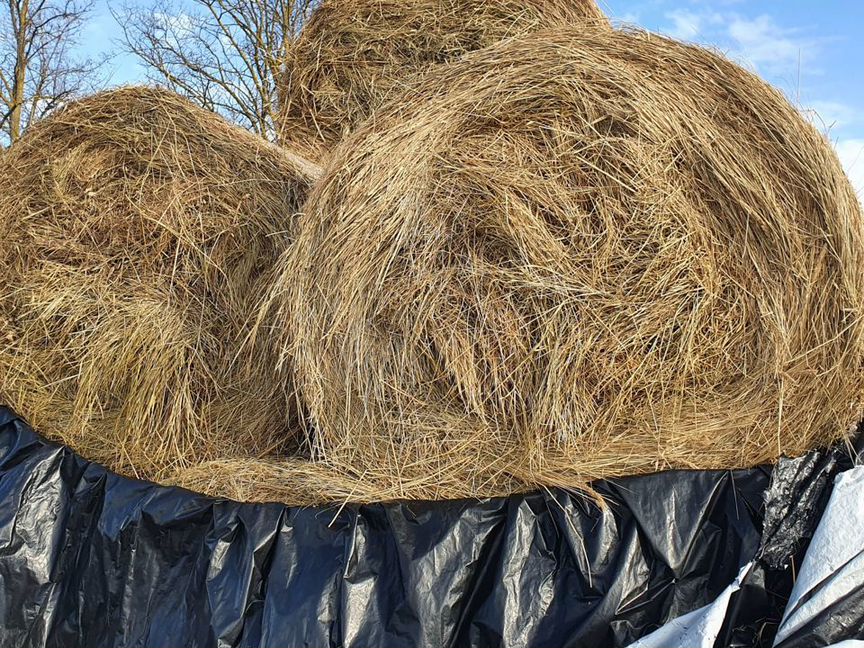 Продажа сена в рулонах