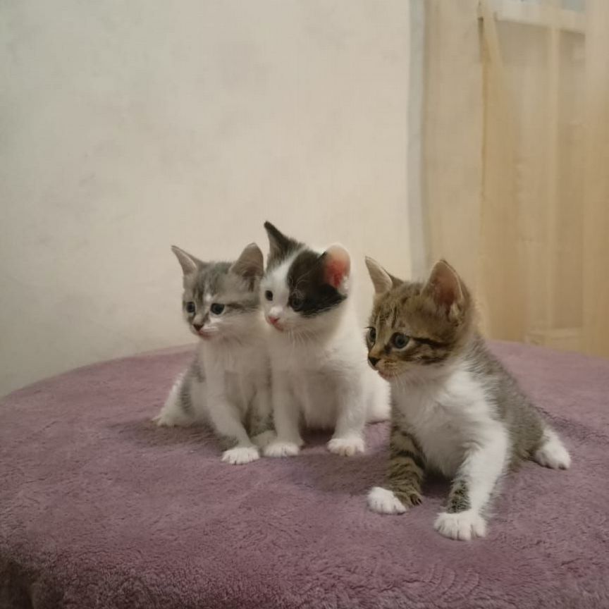Забери меня с собой
