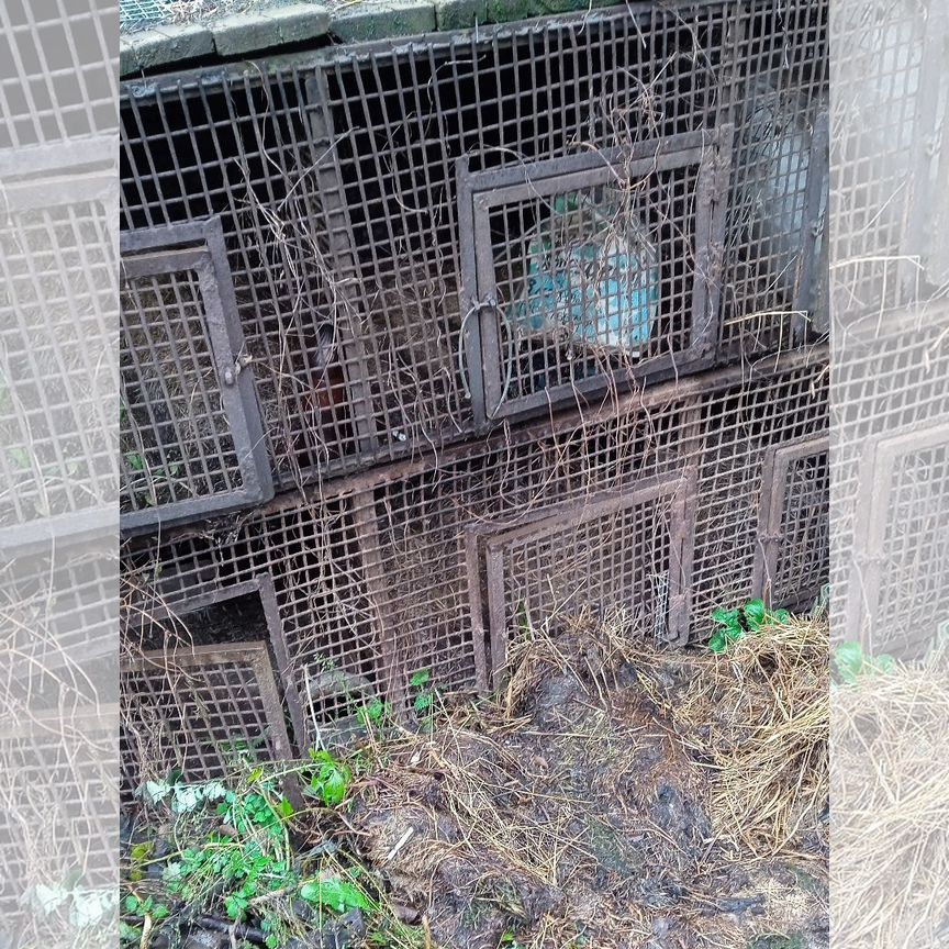 Крольчатник