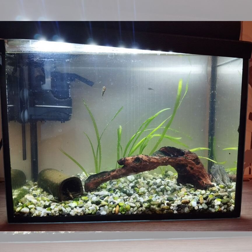 Аквариум 10л