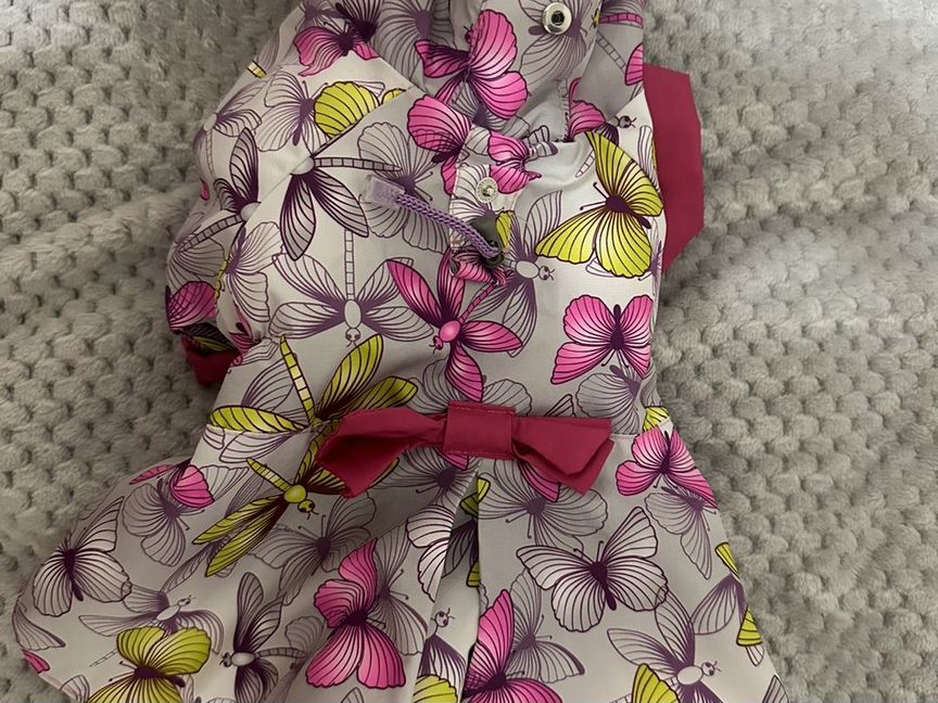 Плащ для маленькой собачки