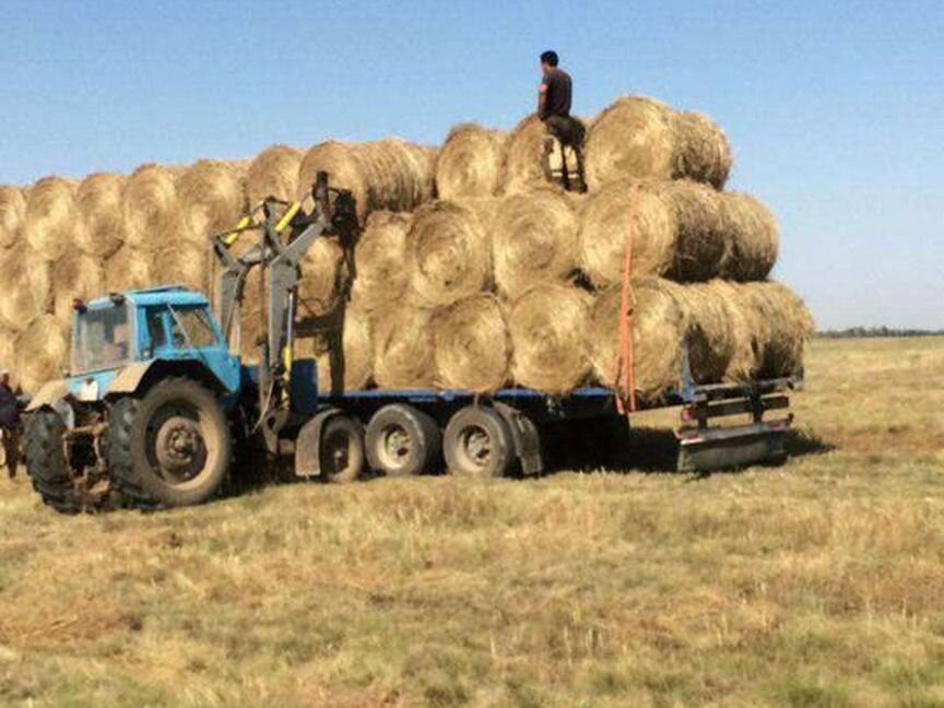 Сено в рулонах разнотравие степное