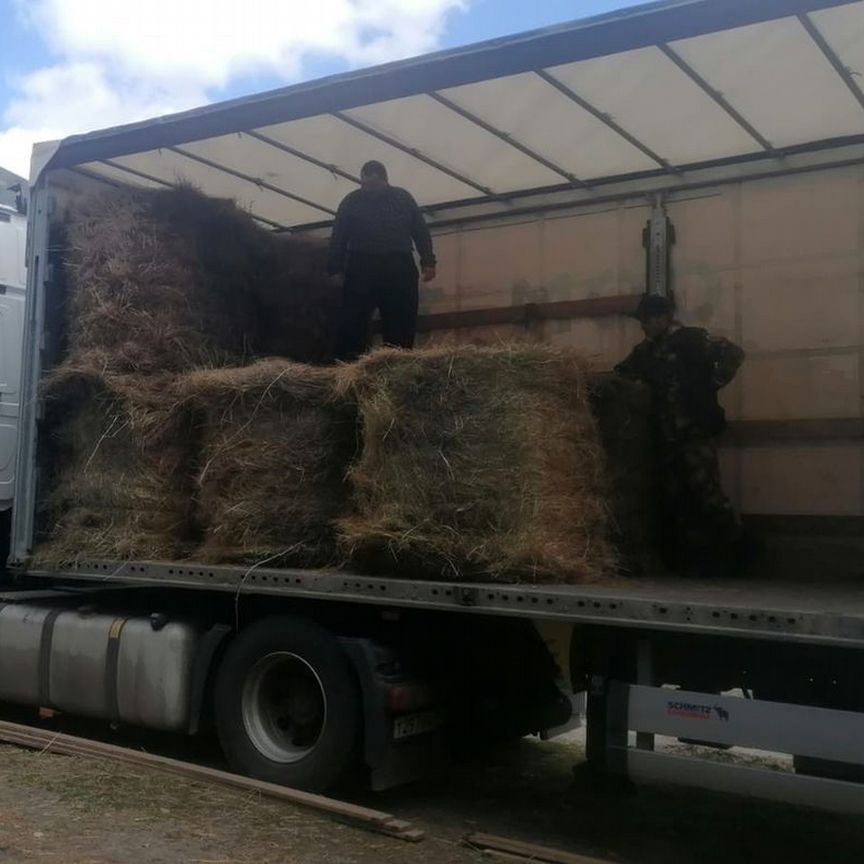 Сено с доставкой