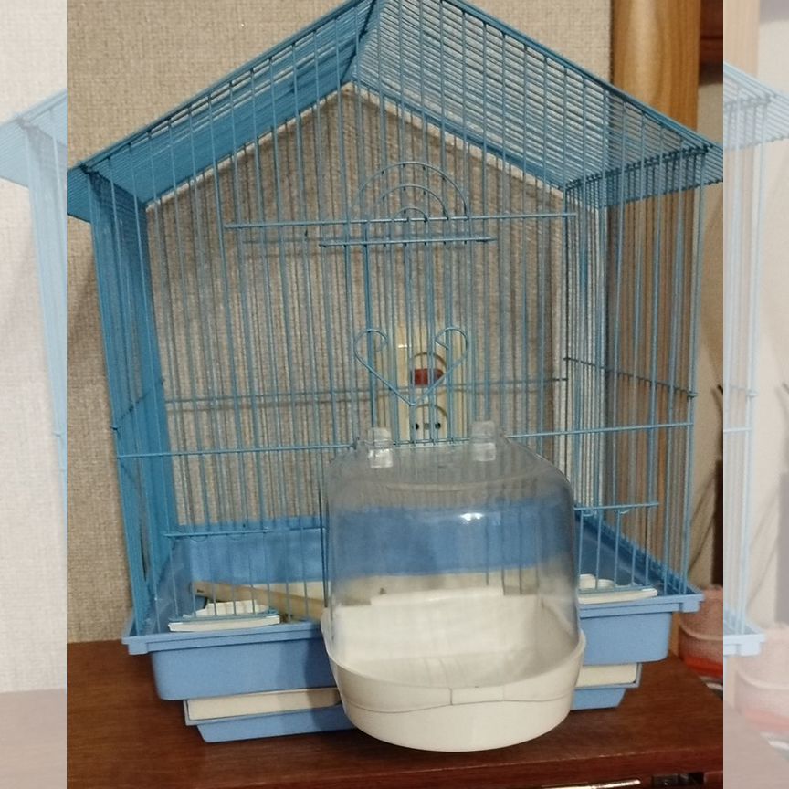 Товары для птиц