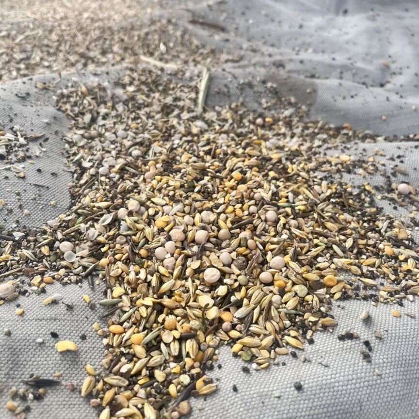 Корм для с х животных