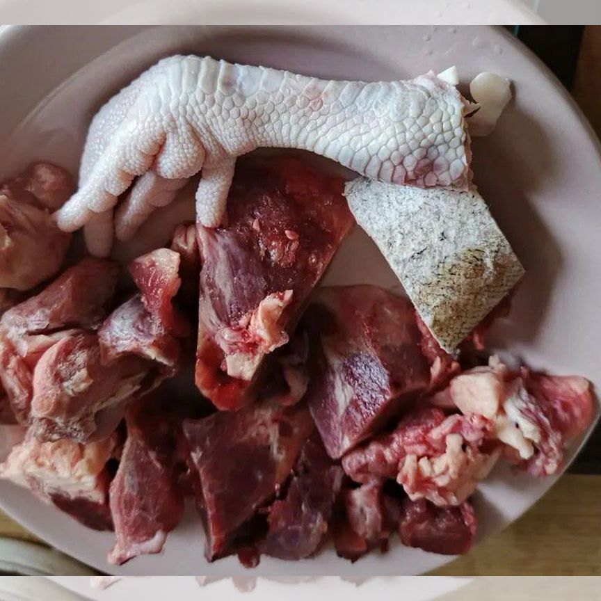 Еда для собак и кошек
