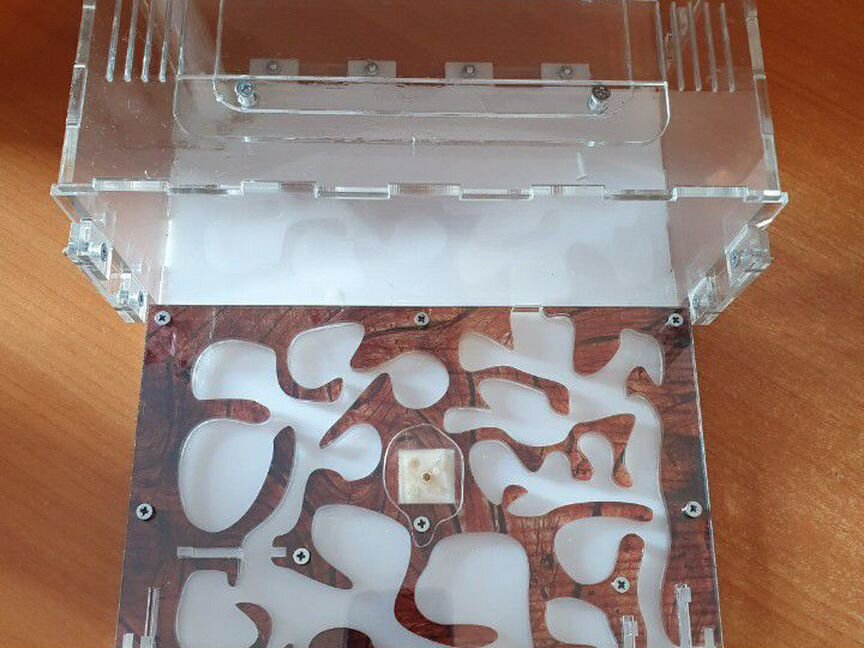 Муравейная ферма