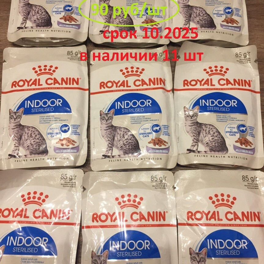 Корм для кошек Royal Canin Indoor Sterilised желе