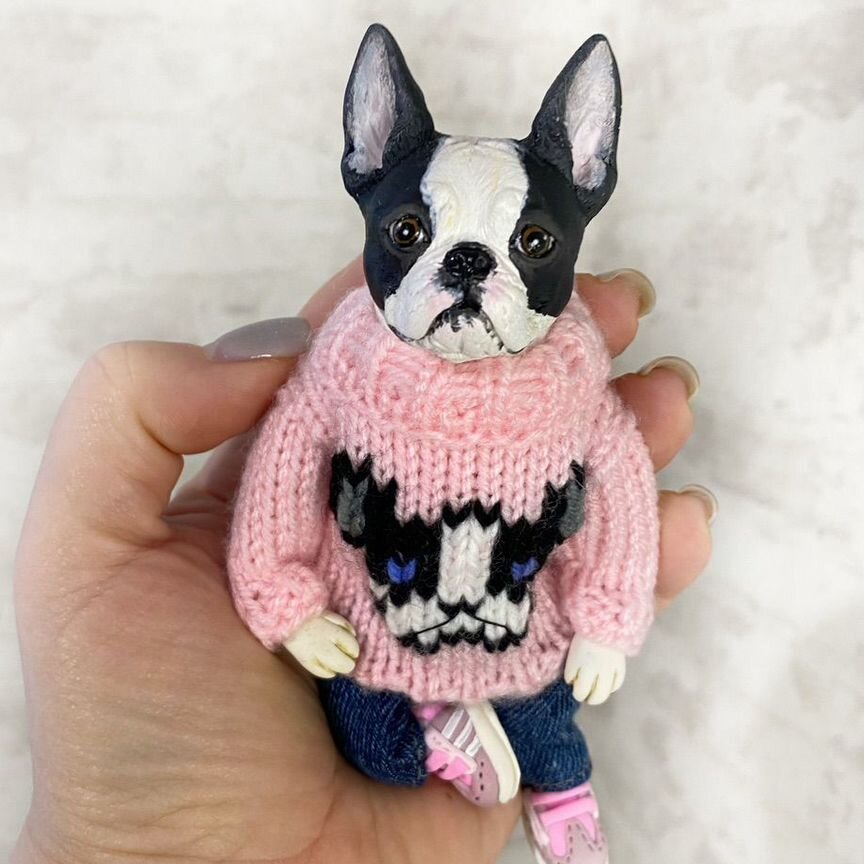 Бостон-терьер Молли