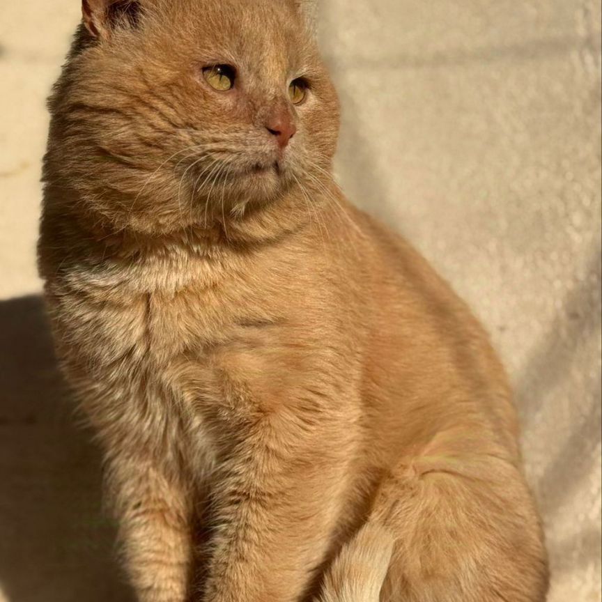 1001 проникновение в твоё сердце